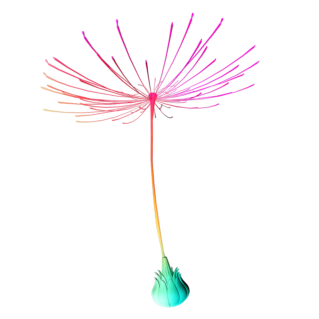 DANDELION PROJECT